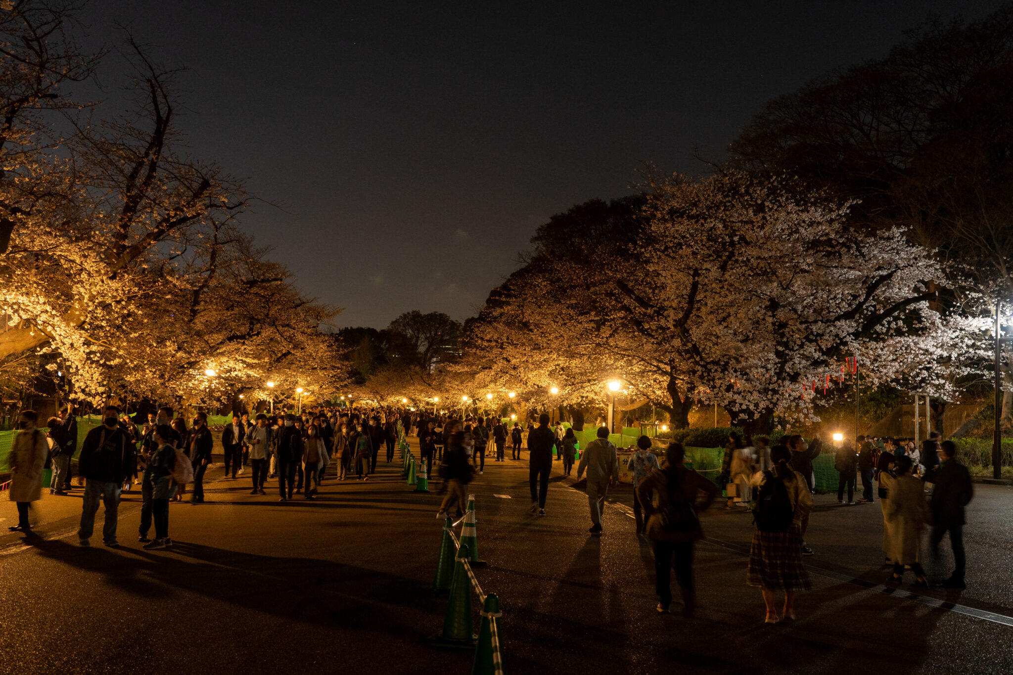 Ueno Park | Traveling Japan