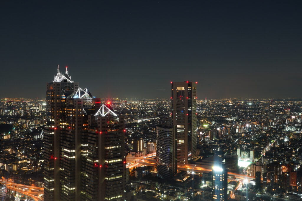 Tokyo Metropolitan Government Building Observatories | Traveling Japan