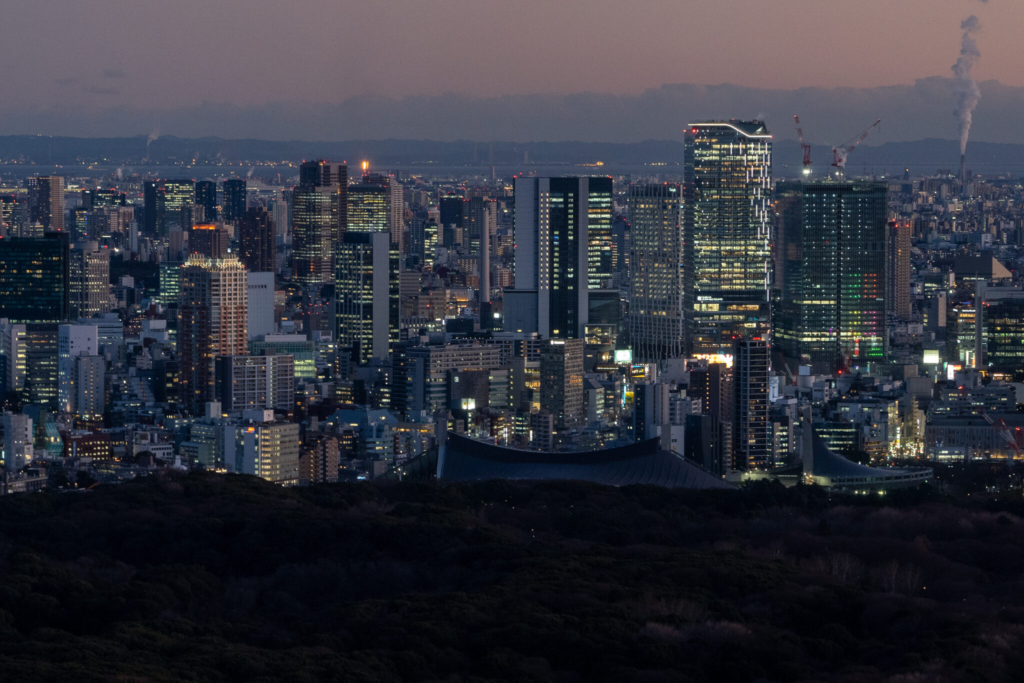 Tokyo Metropolitan Government Building Observatories | Traveling Japan
