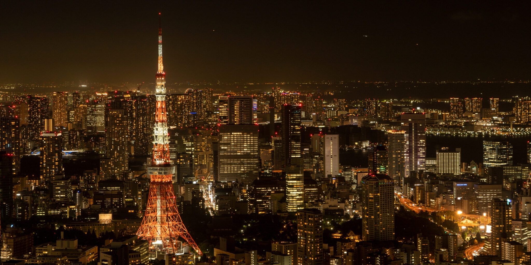Tokyo Tower | Traveling Japan
