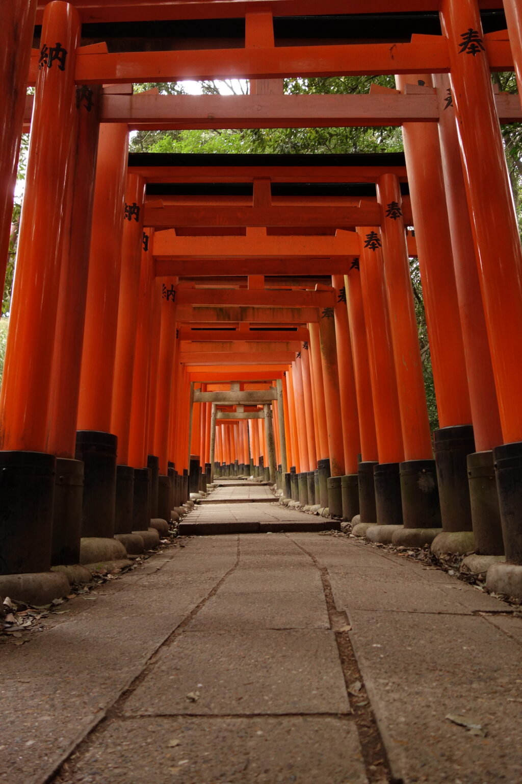 Fushimi Inari Taisha (Fushimi Inari Shrine) | Traveling Japan
