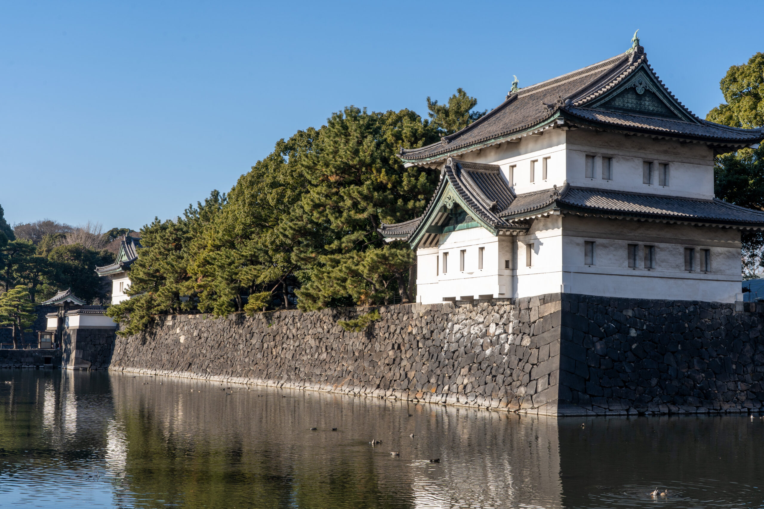 Edo Castle Ruins (The East Gardens of the Imperial Palace) | Traveling ...