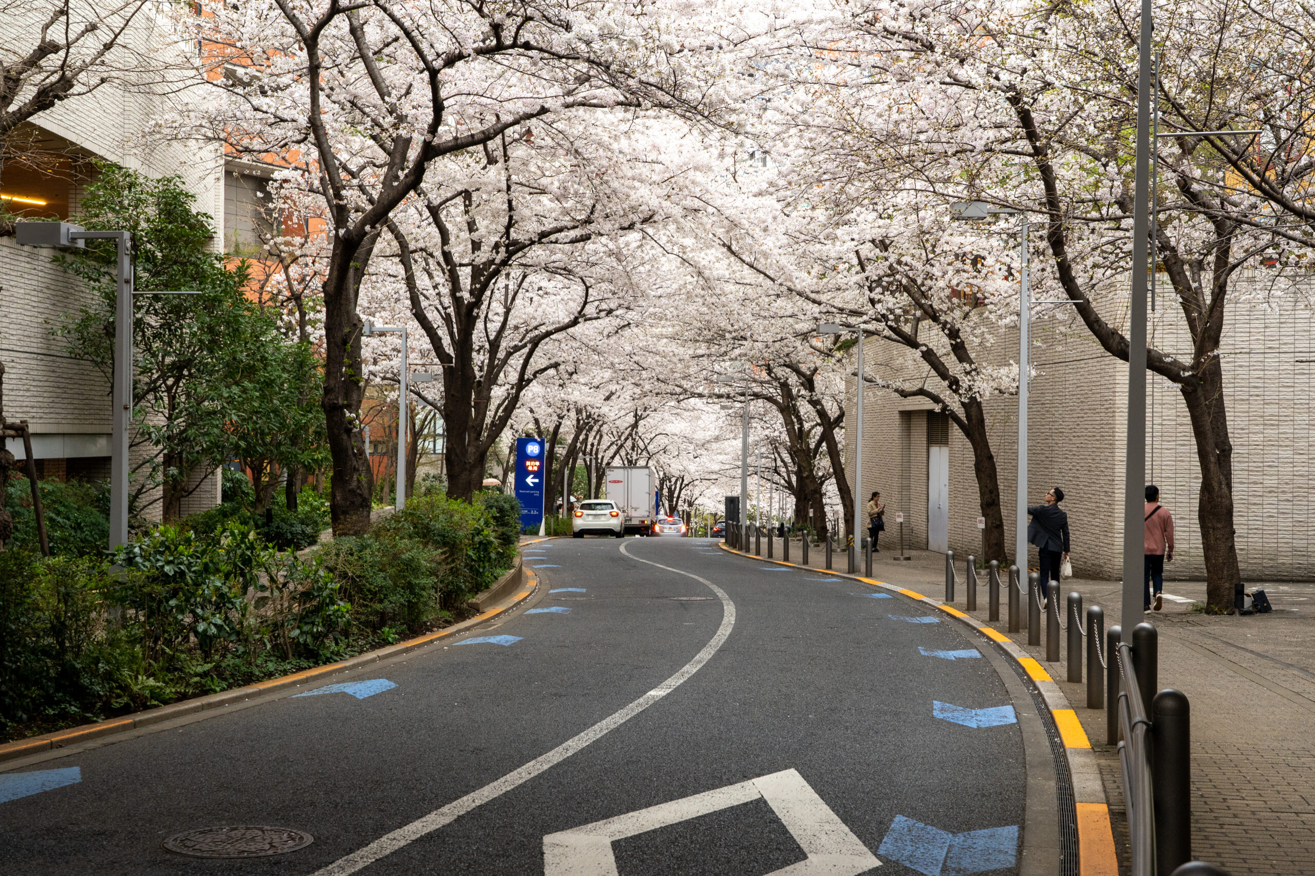 Roppongi Sakurazaka | Traveling Japan