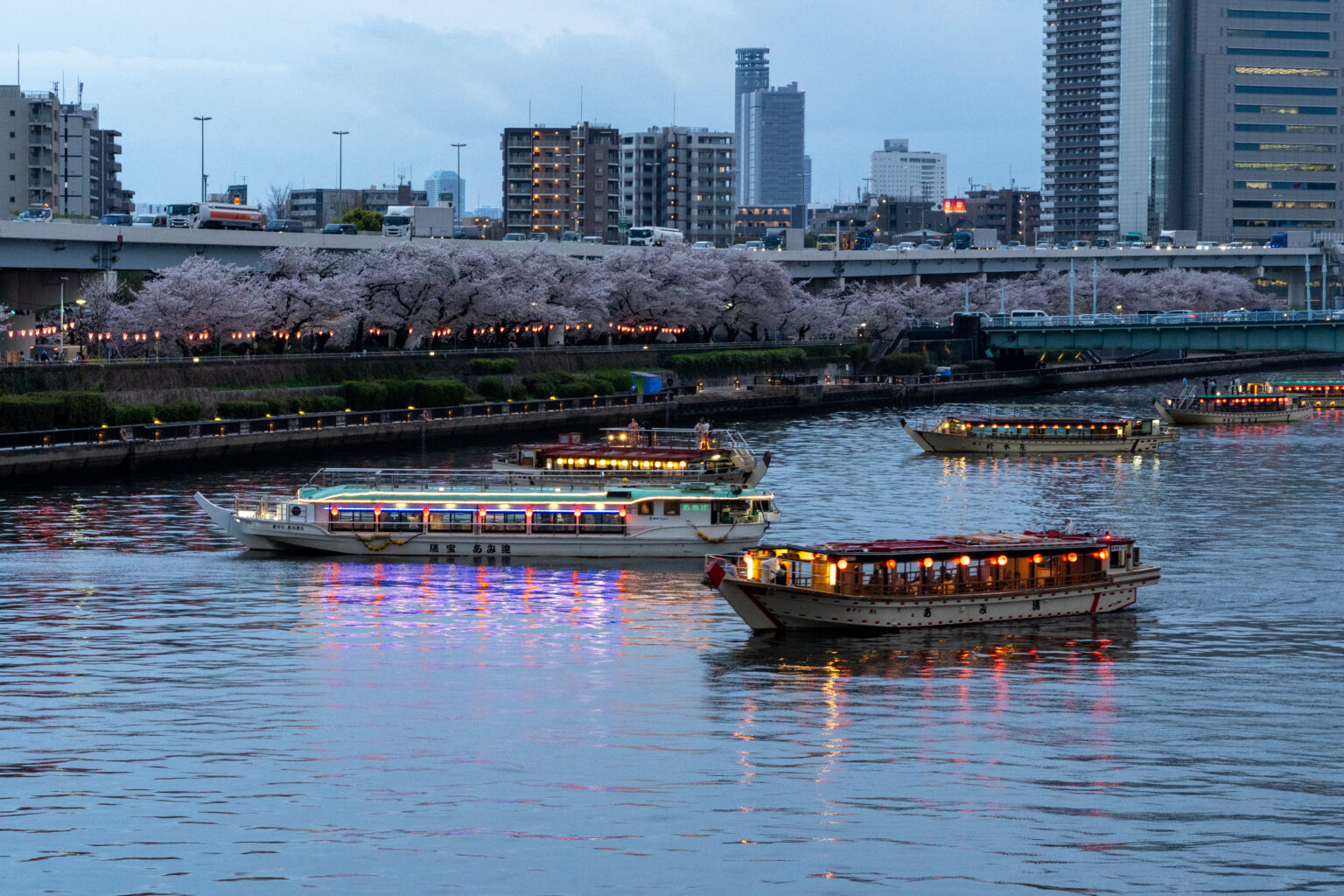 Sumida River | Traveling Japan
