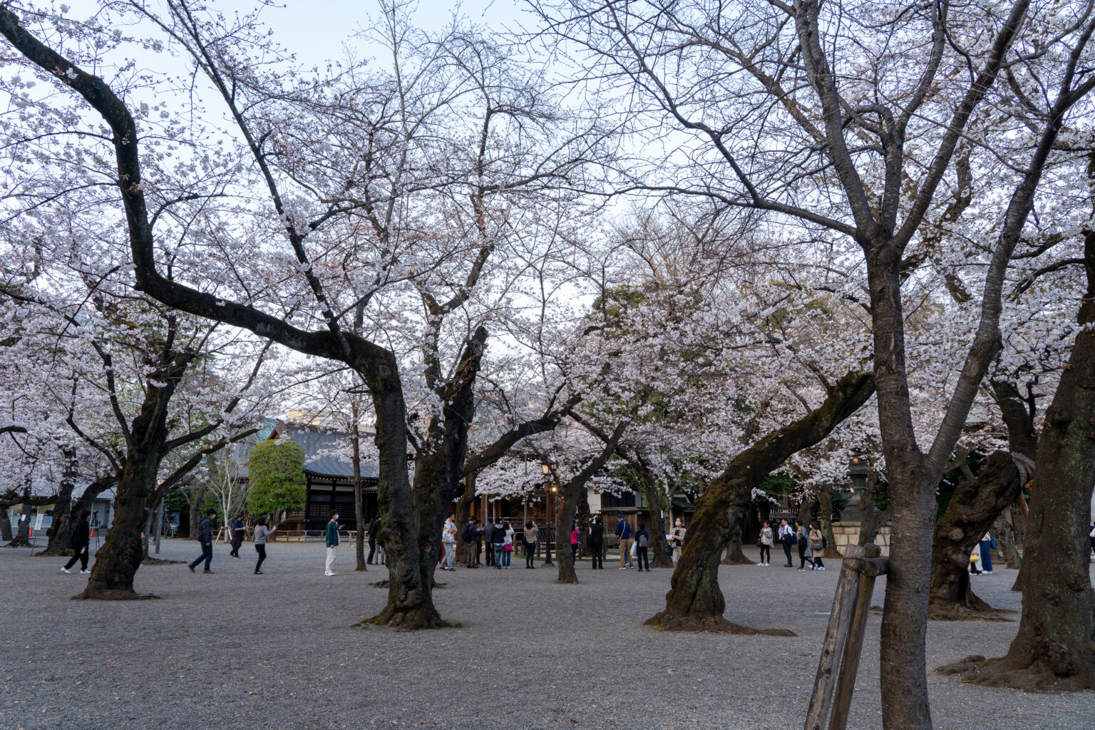 Yasukuni Shrine | Traveling Japan