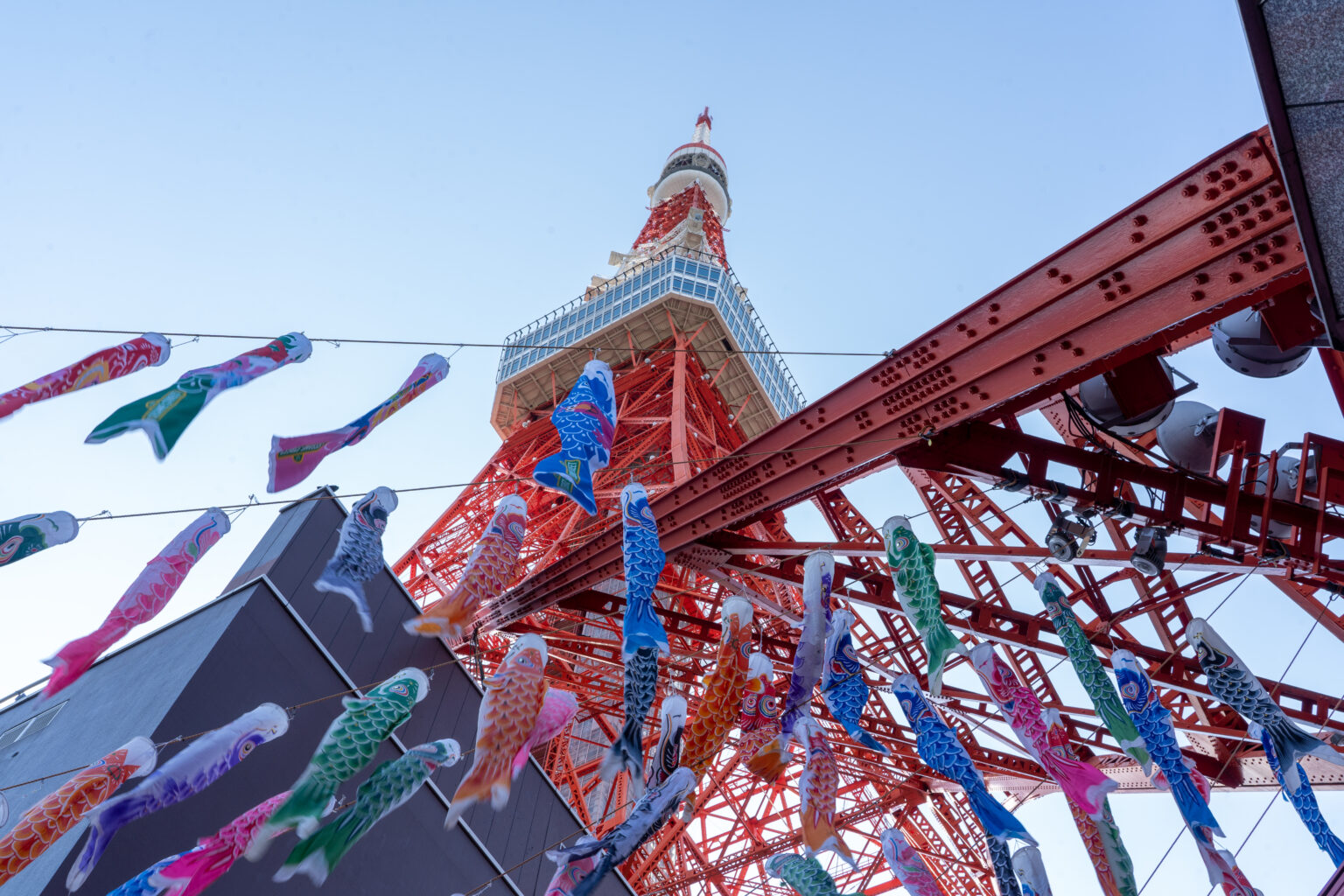 Koinobori こいのぼり Traveling Japan