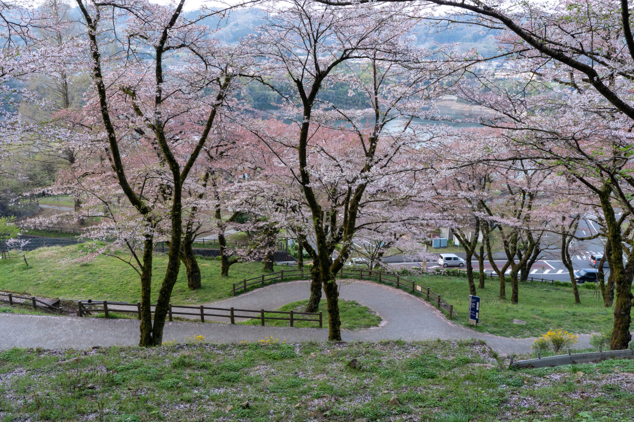 Tsukui Lake Shiroyama Park (Tsukuiko Shiroyama Park) | Traveling Japan