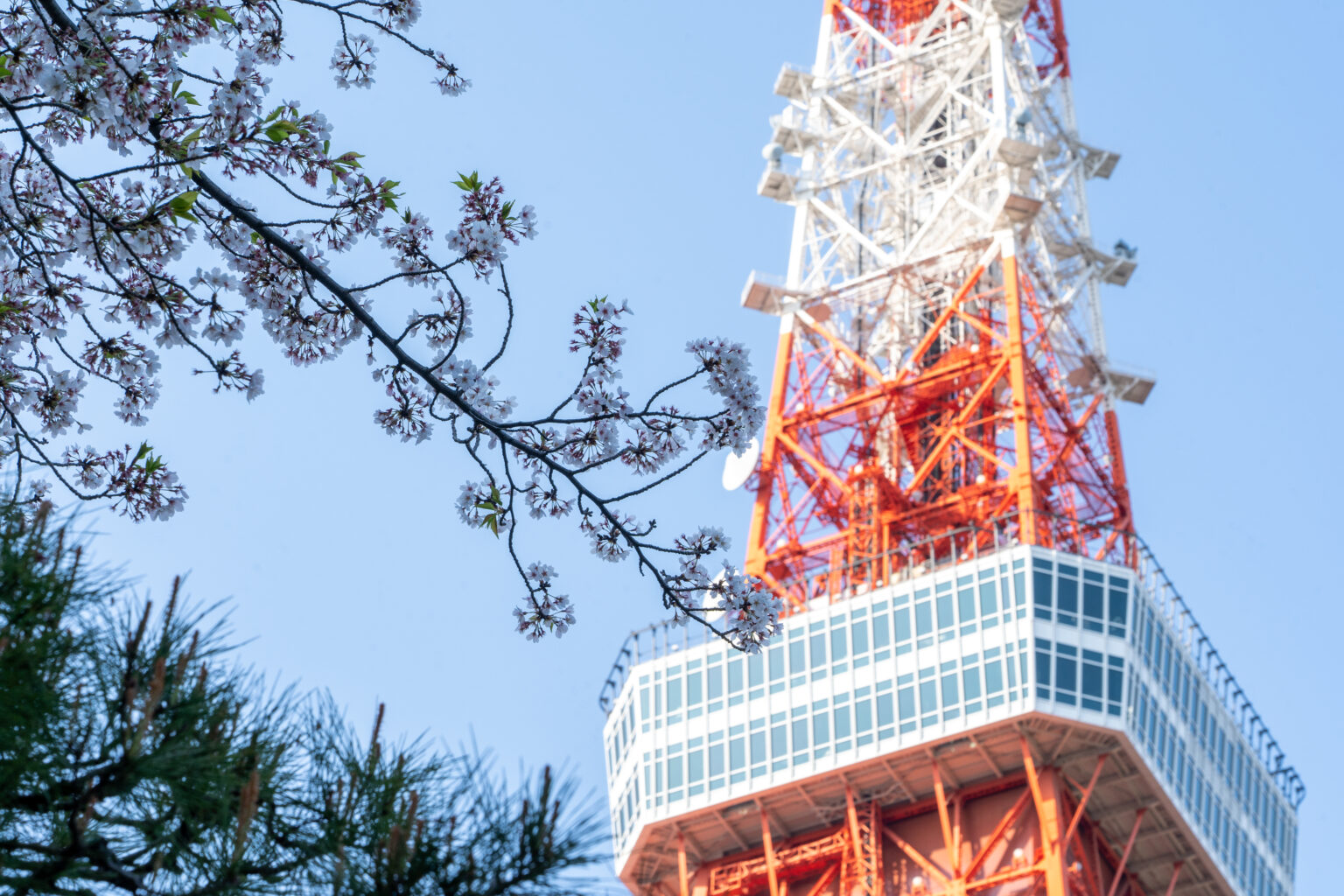 Tokyo Tower | Traveling Japan