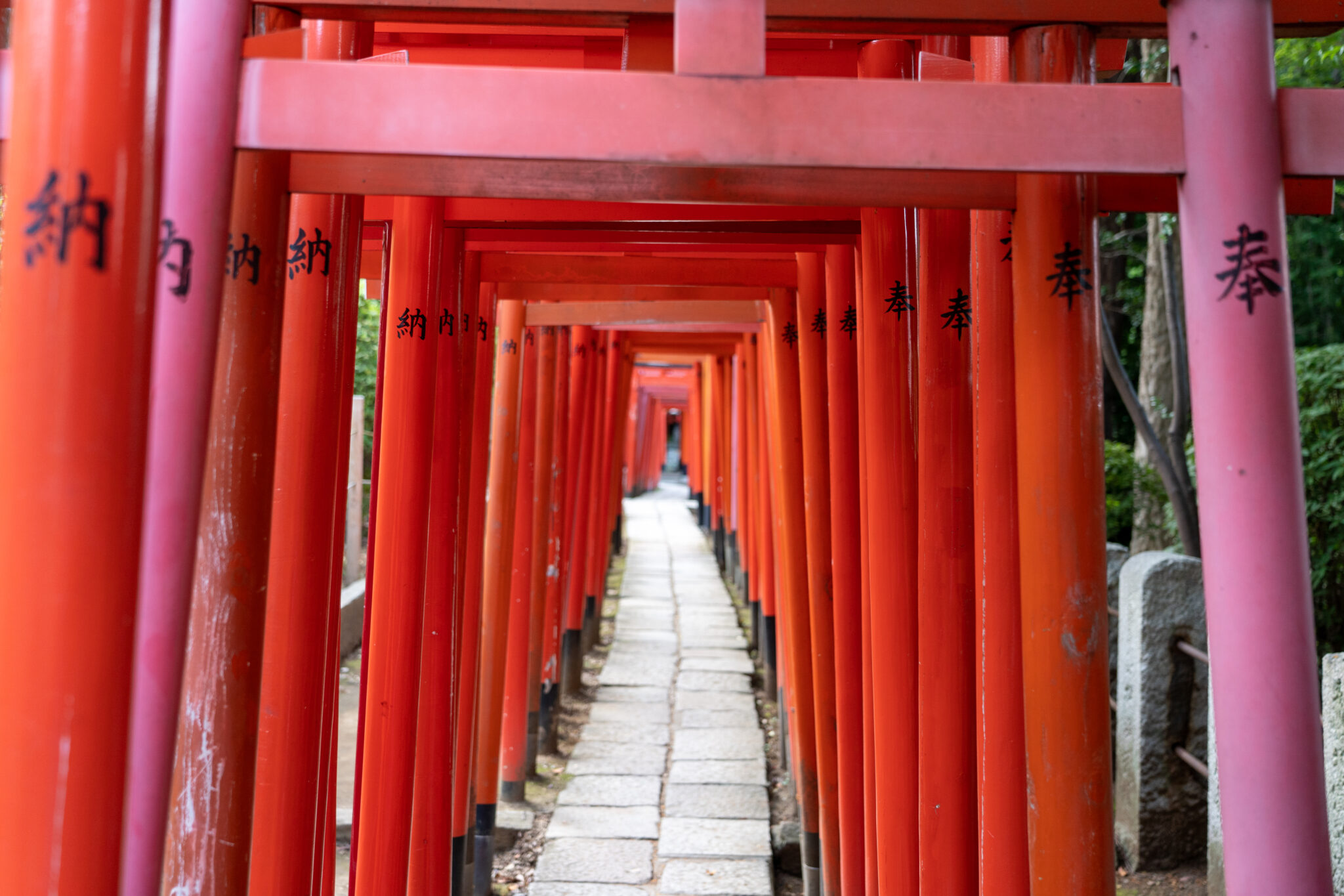 Nezu Shrine | Traveling Japan