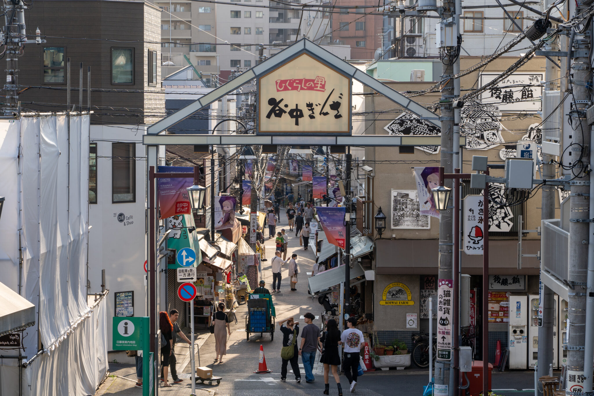 Nezu Shrine | Traveling Japan