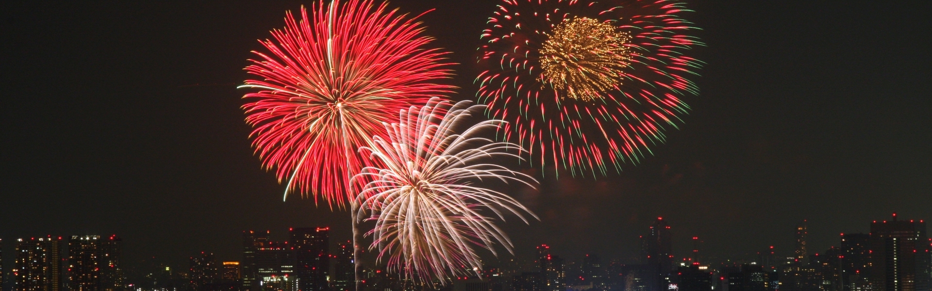 51th Sagamihara Noryo Fireworks | Traveling Japan