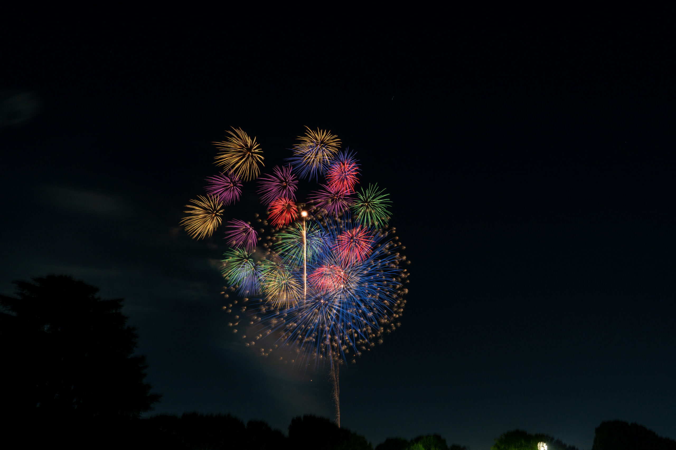 Hanabi (花火) | Traveling Japan